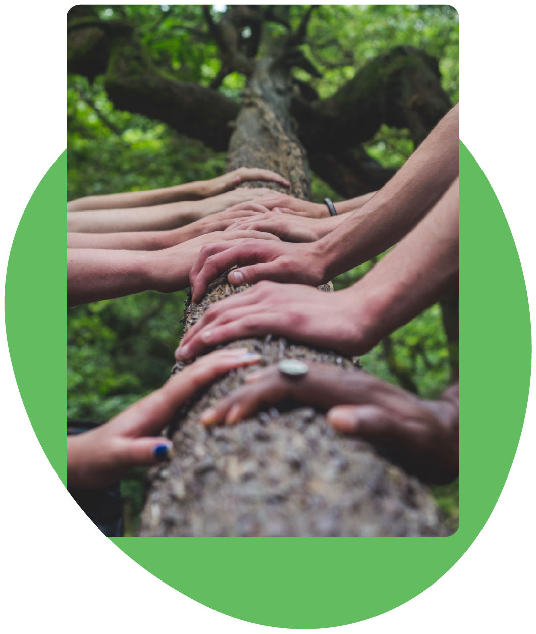 How To Become A Guide Navigating Life s Challenges Together how-to-become-a-guide-navigating-life-s-challenges-together
